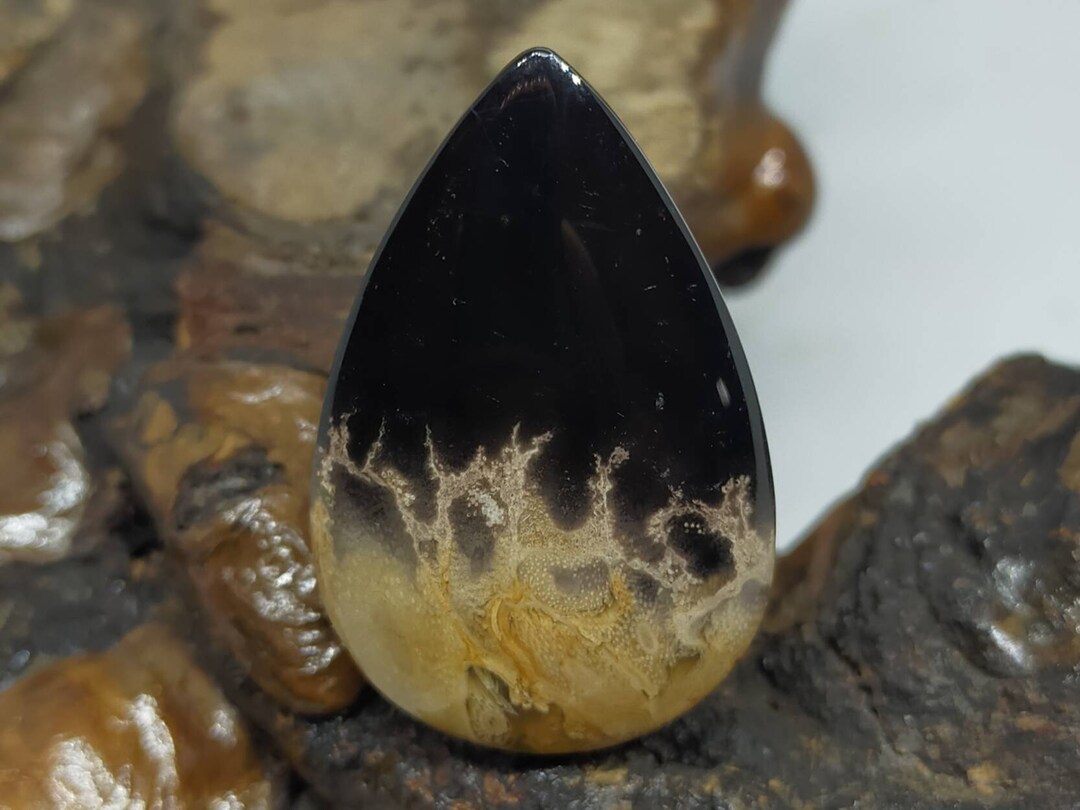 Beautiful Palm Root Gemstone,palm Root Pear Cabochon,loose Gemstone ...