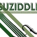 Suziddle Vol. 2: Book 2 Aligned Practice System for Suzuki Violin ...