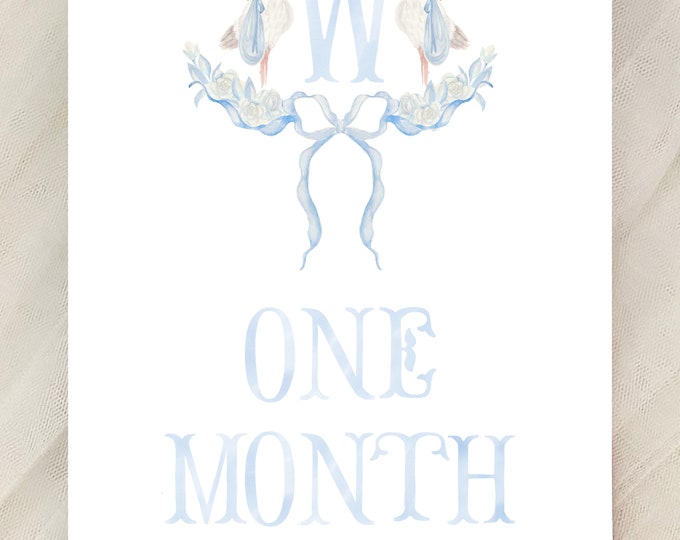 Custom Milestone Cards, Preppy Baby Milestone Cards, Classic Milestone ...