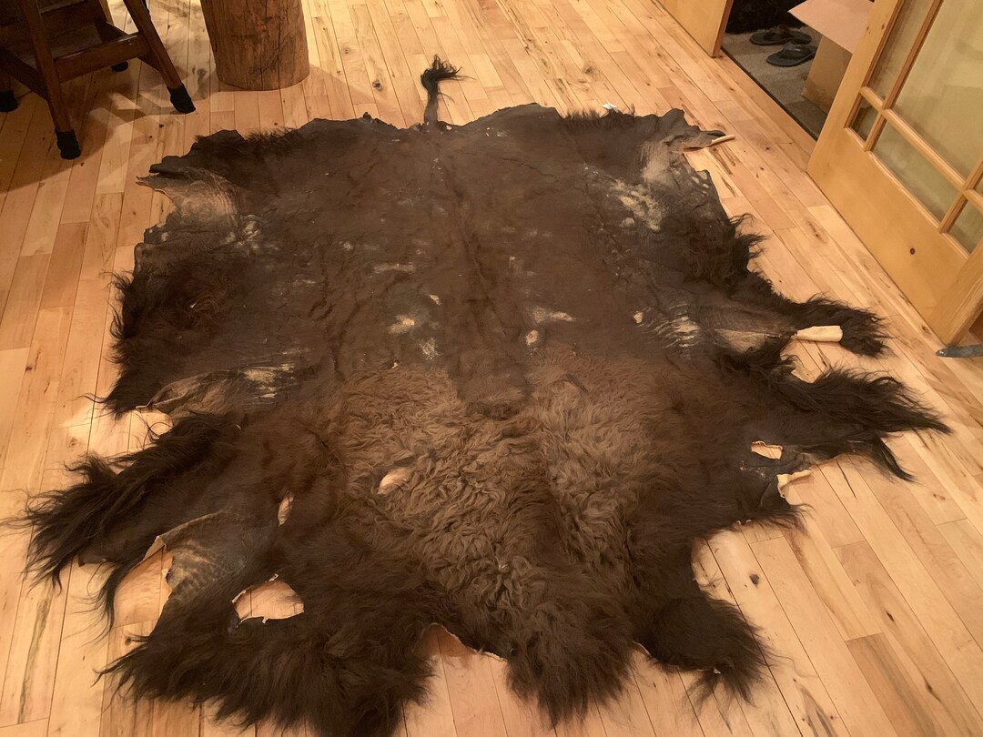 American Bison Hide 006 fourth Grade - Etsy