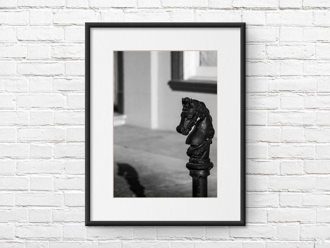 Horse Hitching Post | Black & White Southern Fine Art Print - Etsy
