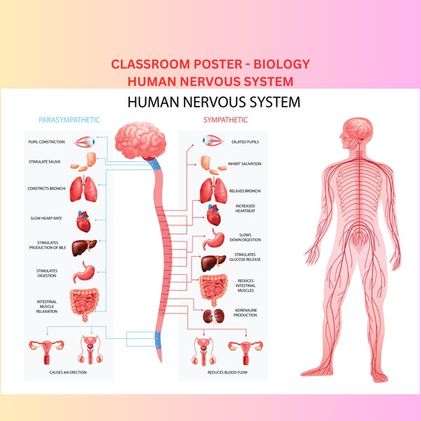 Biology Poster - Etsy