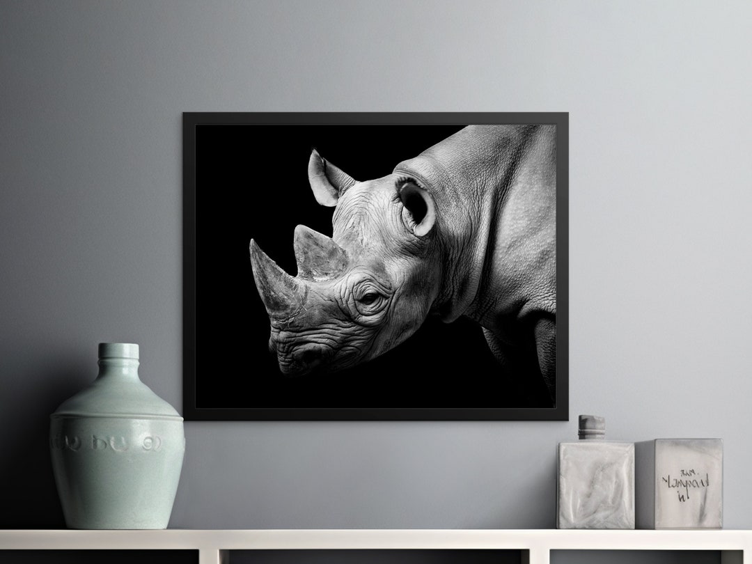 Black and White Rhinoceros Wall Art, Wildlife Photography Print, Animal ...