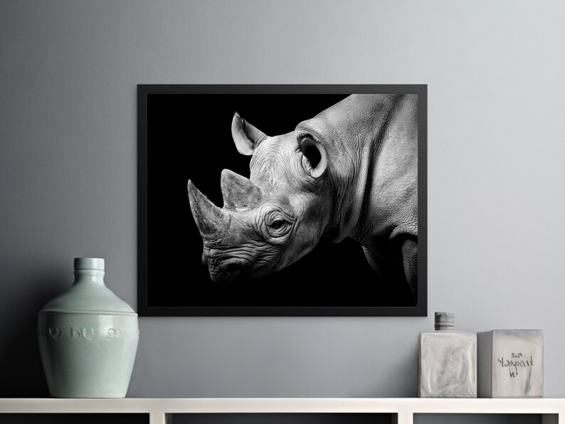 Black and White Rhinoceros Wall Art, Wildlife Photography Print, Animal ...
