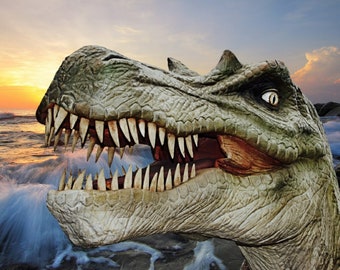 Dinosaur Evolution Poster - Etsy