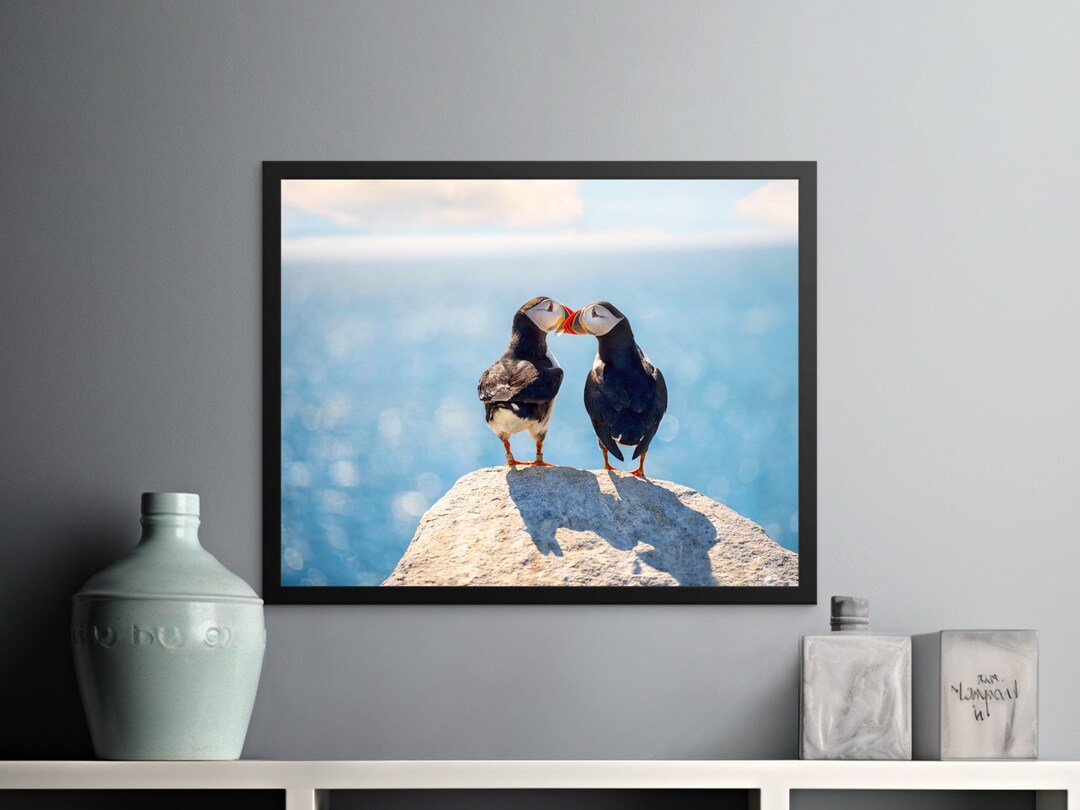 Two Puffins Kissing Wall Art, Ocean View Digital Download, Animal ...