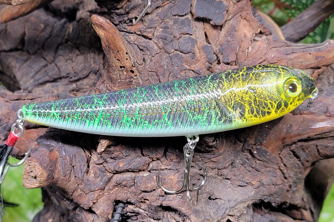 4" Topwater Popper / Walker With Feathered Treble. - Etsy