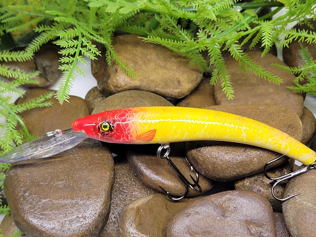 6" Musky and Walleye Lure/ Deep Diver/marbled Clown Pattern - Etsy
