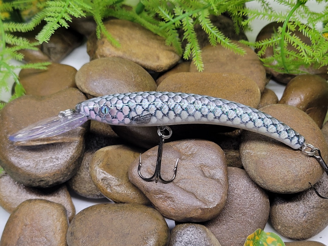 6 Custom Musky Lure /deep Diver /colorshift - Etsy