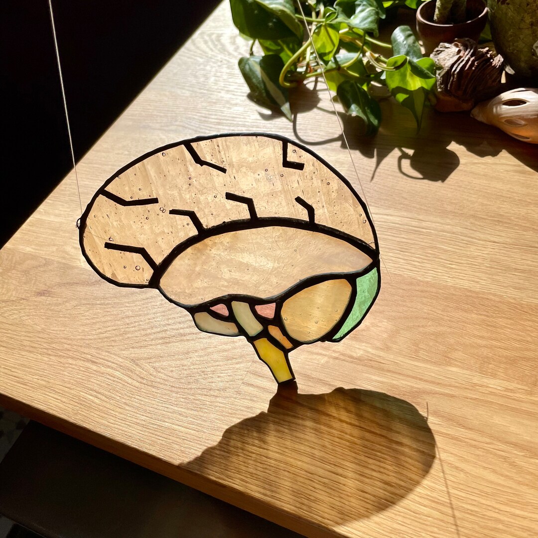 Stained Glass Brain Sun Catcher Trendy Boho Organ Body Love Human ...