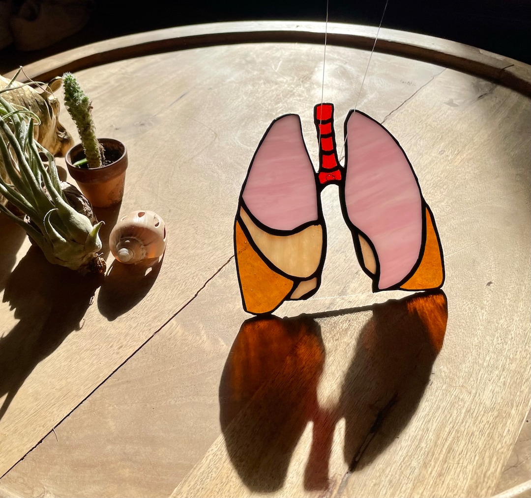 Stained Glass Anatomical Lungs Sun Catcher Trendy Boho Organ Body Heart ...