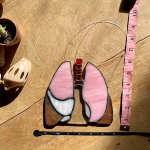 Stained Glass Anatomical Lungs Sun Catcher Trendy Boho Organ Body Heart ...