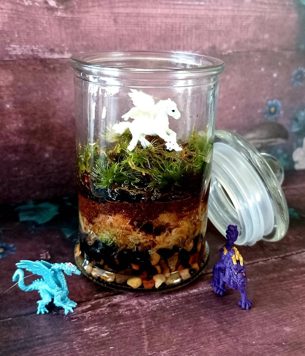 Live Moss Terrarium Apothecary Jar - Etsy