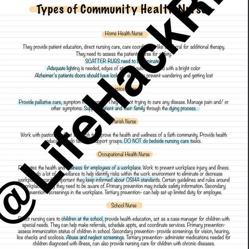 Community Health Study Guide - Etsy