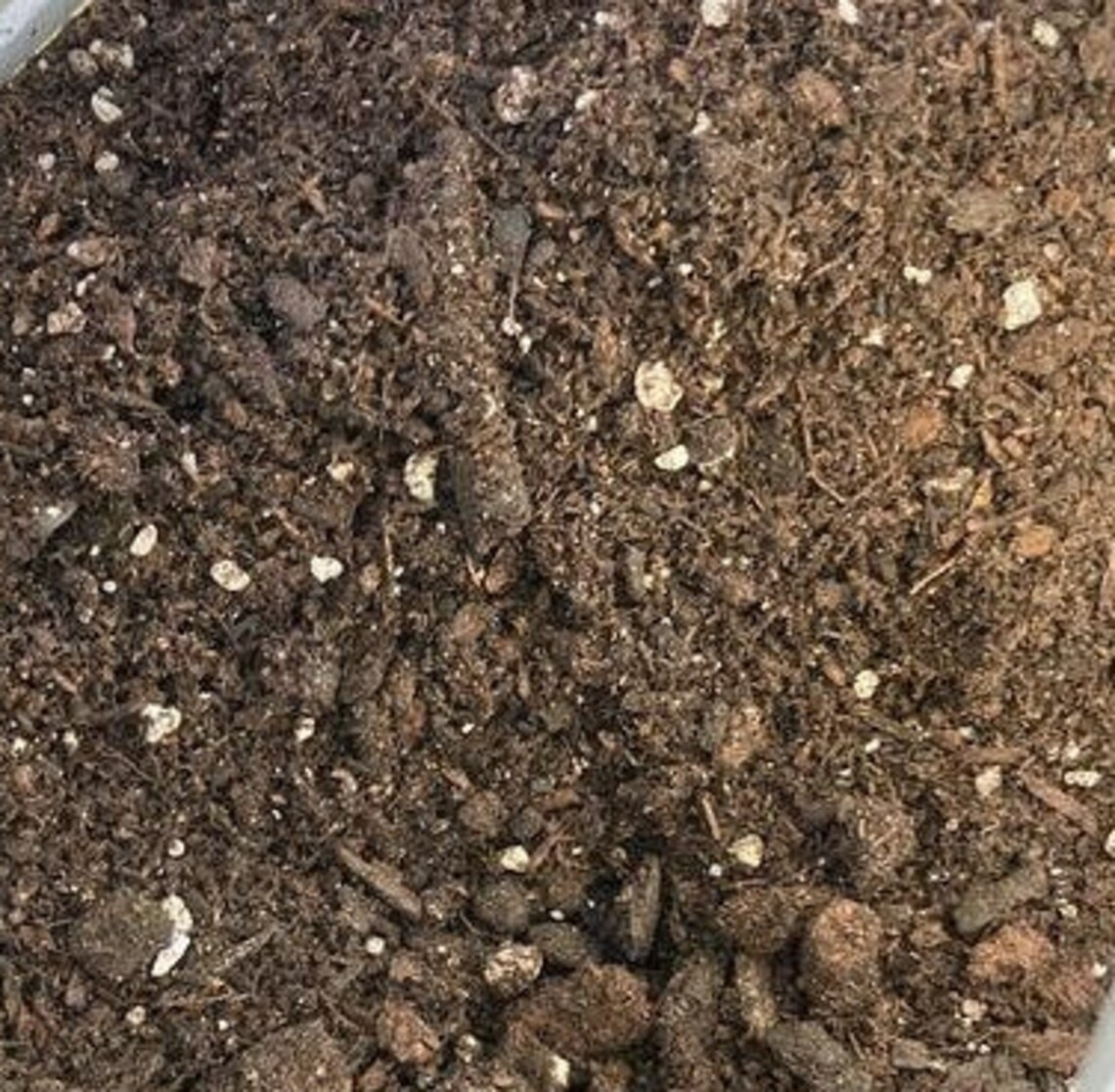 1 Gallon Organic Potting Soil Container Mix With Miracle Gro - Etsy