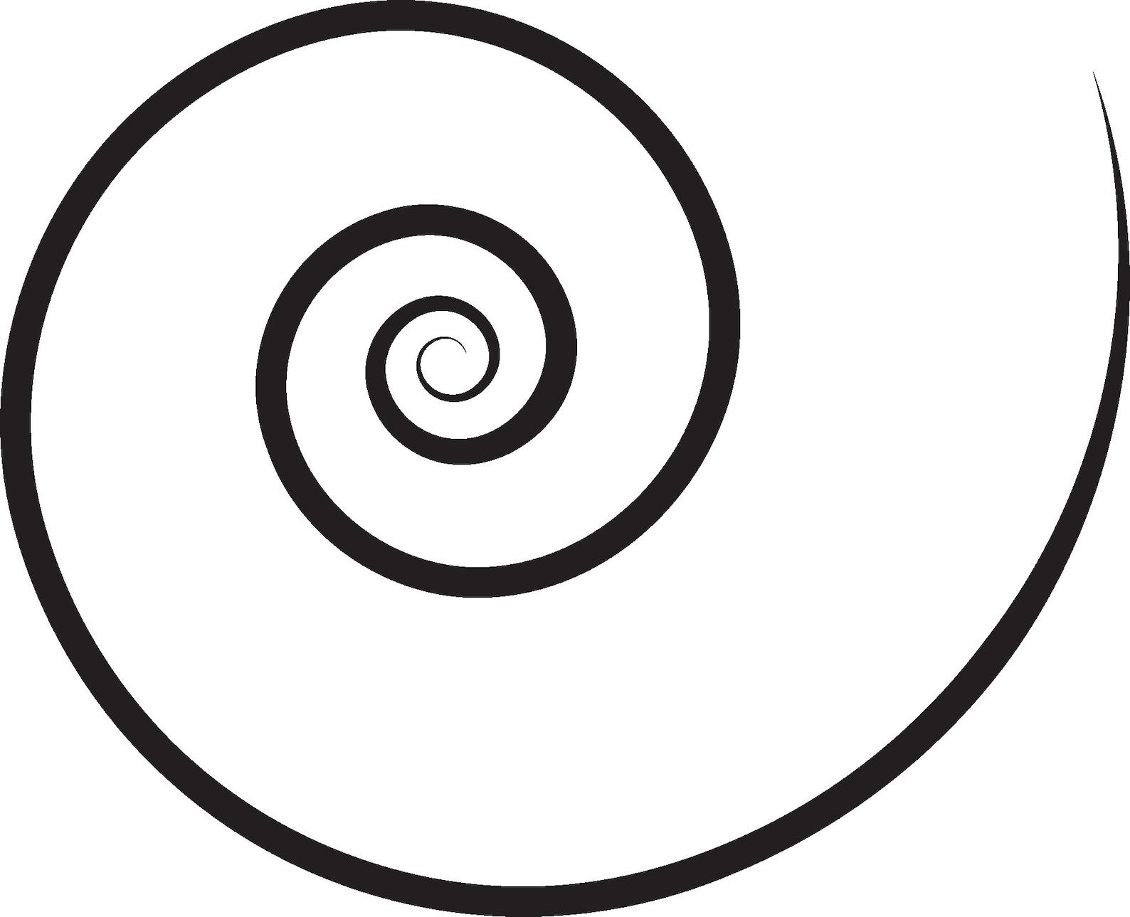 Spiral SVG Bundle, Spiral Cut Files, Spiral Outline SVG, Spiral Vector ...