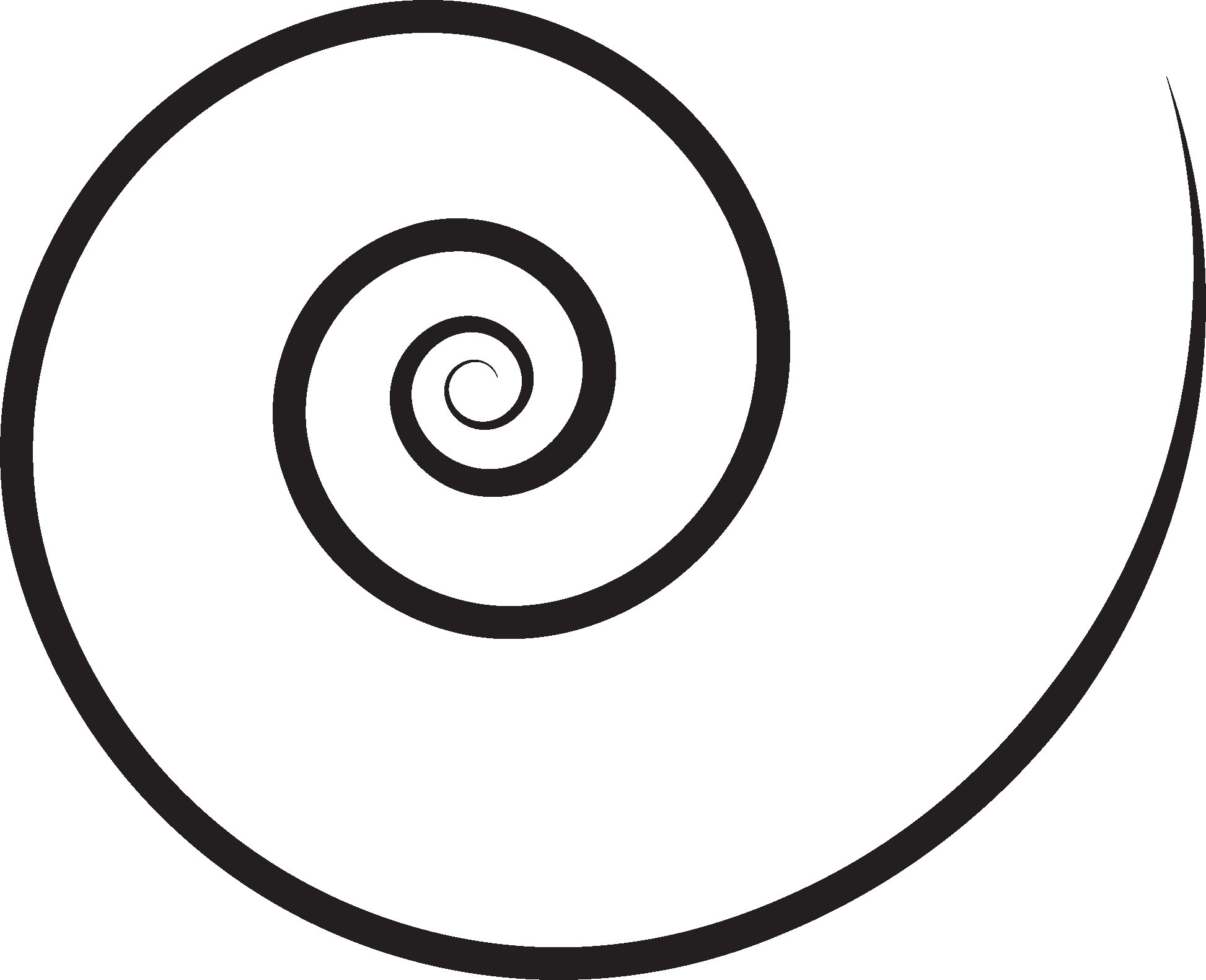 Spiral SVG Bundle, Spiral Cut Files, Spiral Outline SVG, Spiral Vector ...