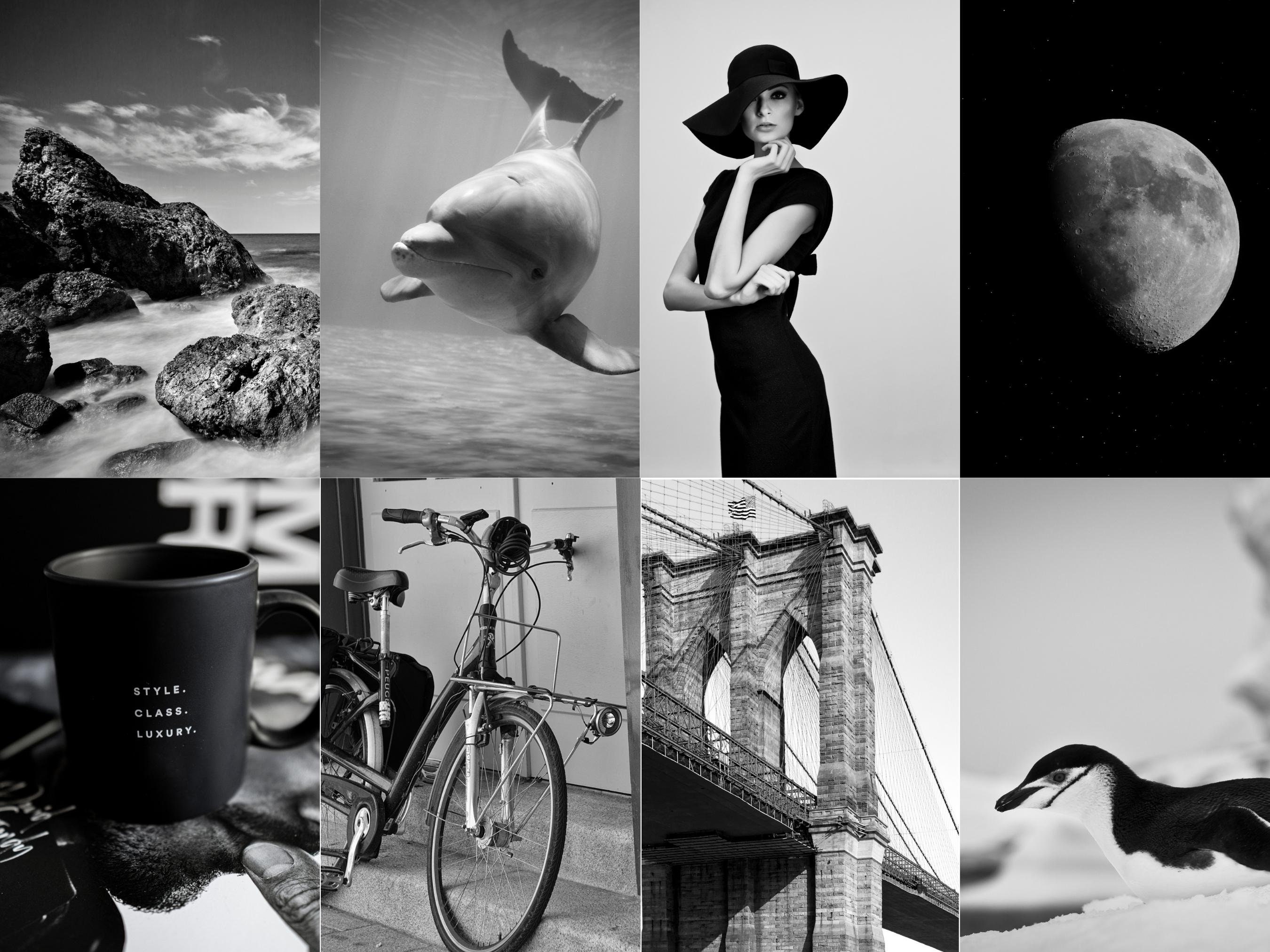 Black&white Photo Wall Collage Kit-digital Prints of 100 Pcs - Etsy