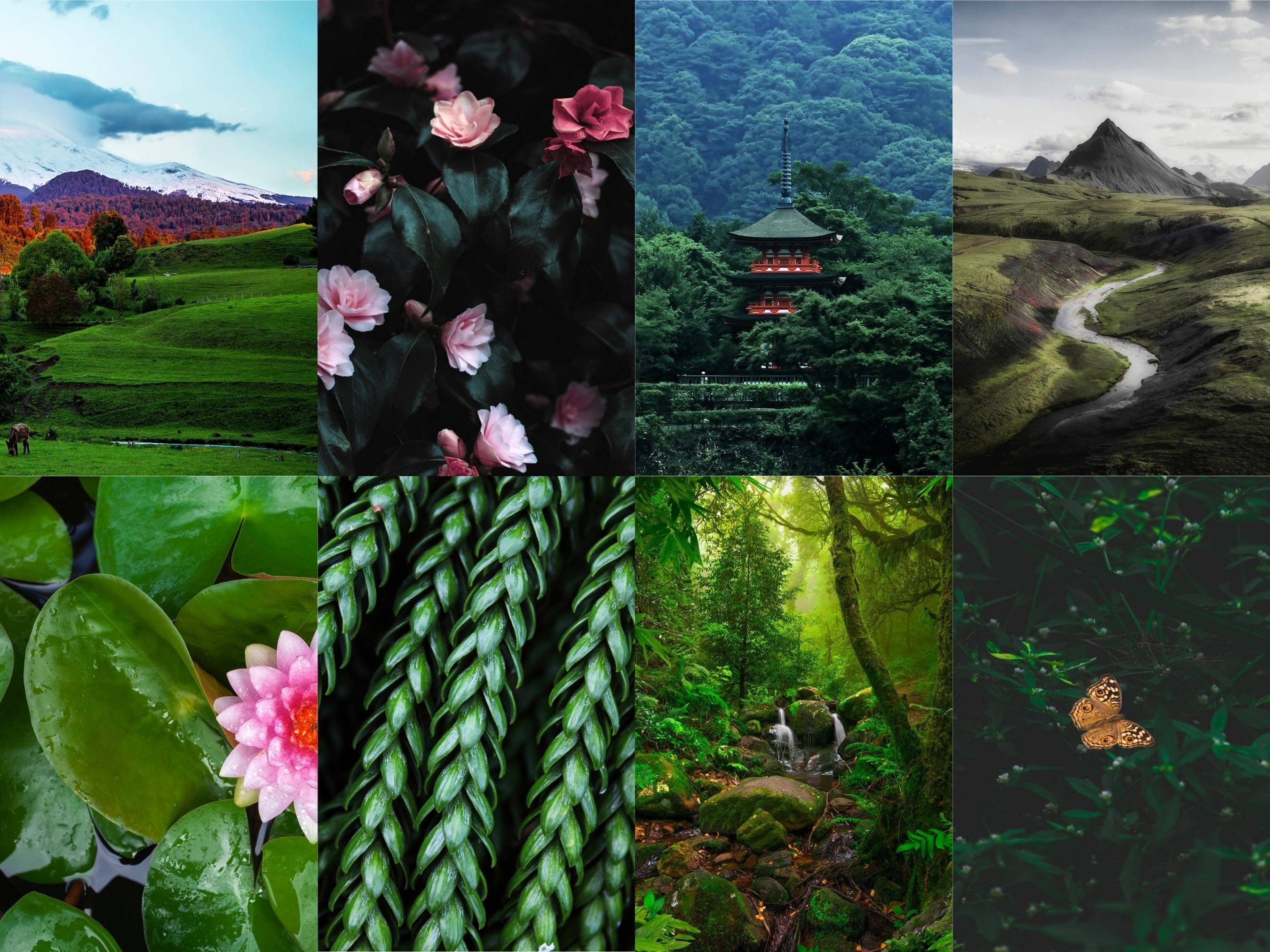 Emerald Green Aesthetic Wall Collage Kit of 100 Pics Nature - Etsy Canada