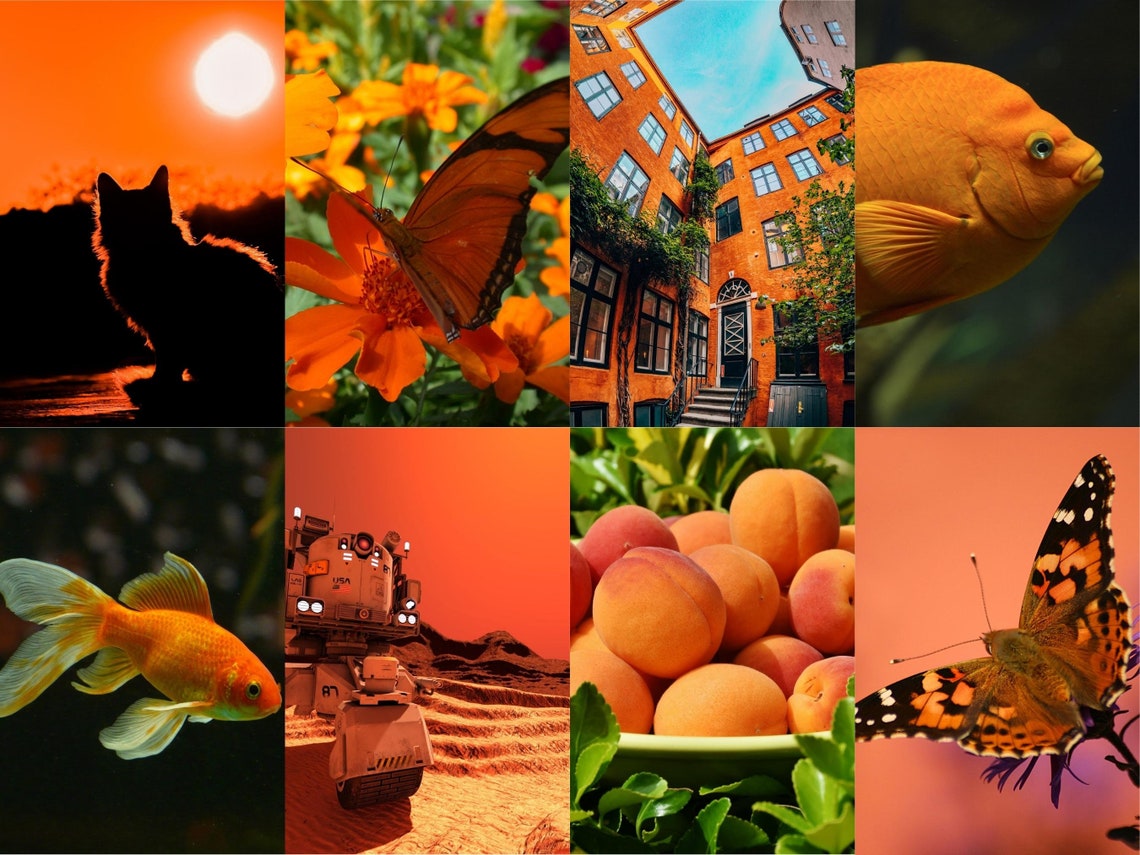 Orange Aesthetic Photo Collage Kit DIGITAL DOWNLOAD 100 - Etsy Canada