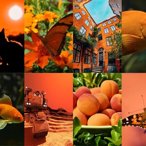 Orange Aesthetic Photo Collage Kit, (DIGITAL DOWNLOAD) 100 PCS, Orange ...