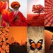 Orange Aesthetic Photo Collage Kit, (DIGITAL DOWNLOAD) 100 PCS, Orange ...