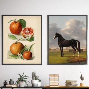 English Cottage Gallery Wall English Countryside Print Set Farmhouse ...