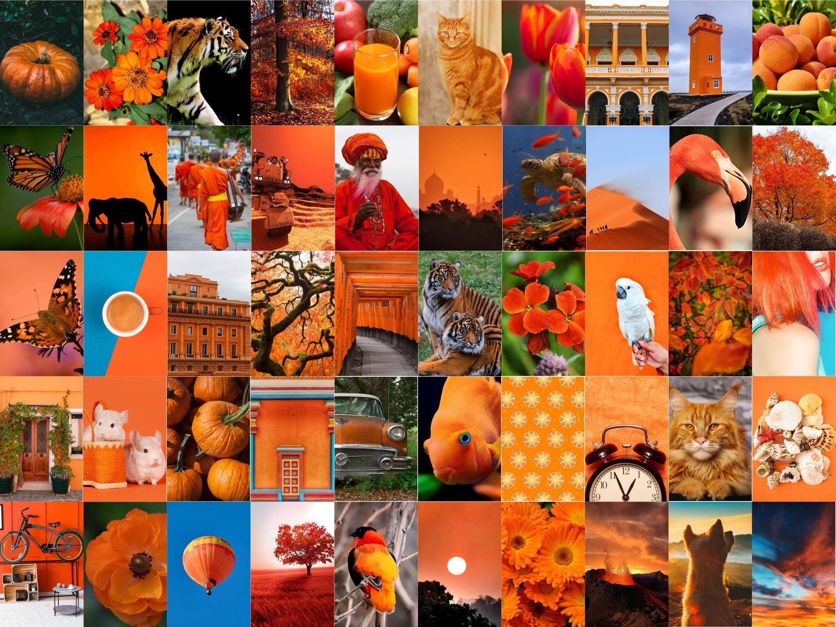 Orange Aesthetic Photo Collage Kit, (DIGITAL DOWNLOAD) 100 PCS, Orange ...