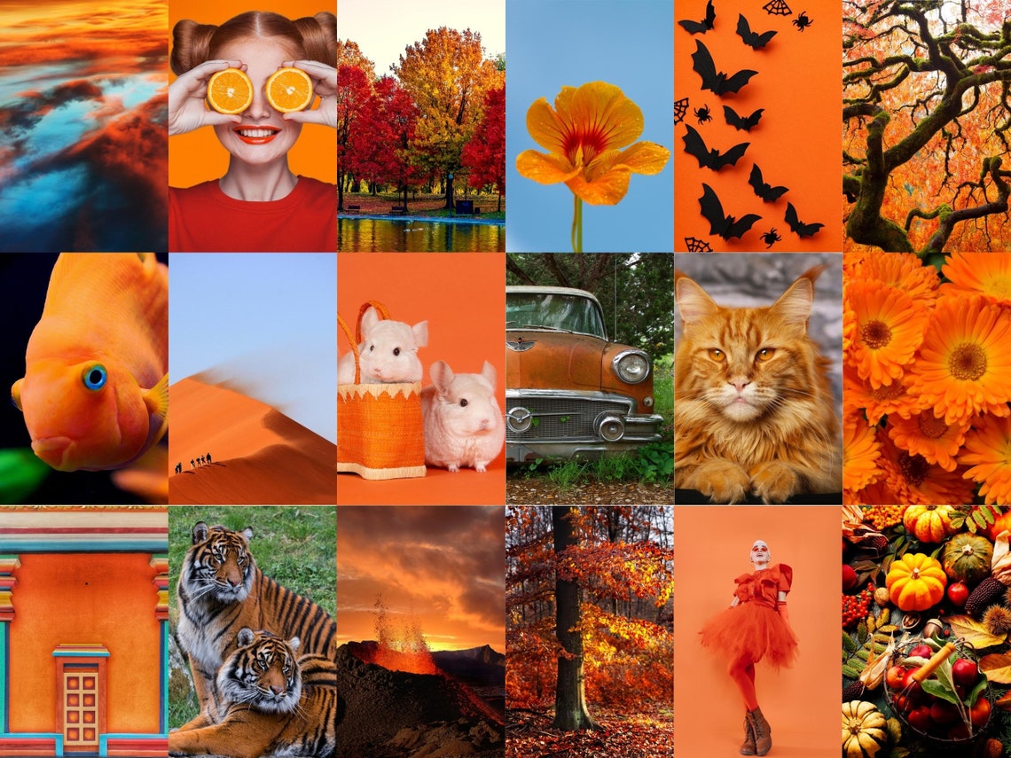 Orange Aesthetic Photo Collage Kit DIGITAL DOWNLOAD 100 - Etsy Canada