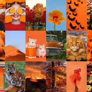 Orange Aesthetic Photo Collage Kit, (DIGITAL DOWNLOAD) 100 PCS, Orange ...