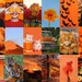 Orange Aesthetic Photo Collage Kit, (DIGITAL DOWNLOAD) 100 PCS, Orange ...