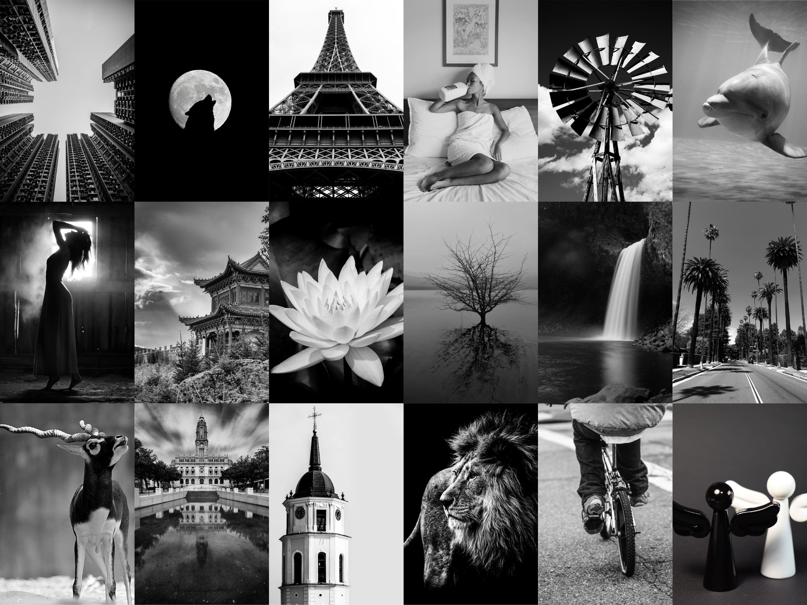Black&white Photo Wall Collage Kit-digital Prints of 100 Pcs - Etsy
