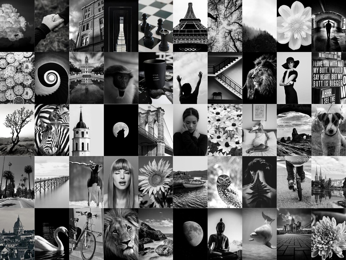 Black&white Photo Wall Collage Kit-digital Prints of 100 Pcs - Etsy