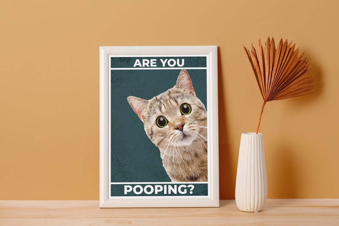 Funny Cat Bathroom Poster: 'are You Pooping?' Kitty Restroom Decor ...