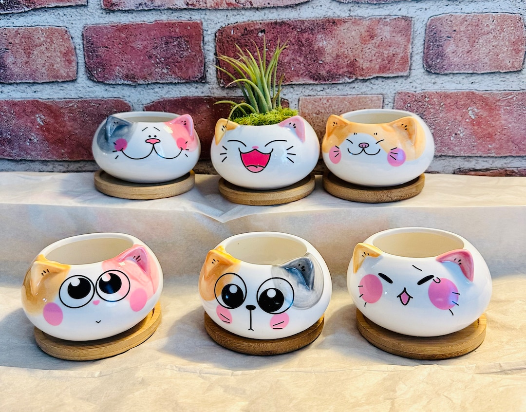 Small Kitty Planter W/ Bamboo Saucer Air Plant Planter - Etsy