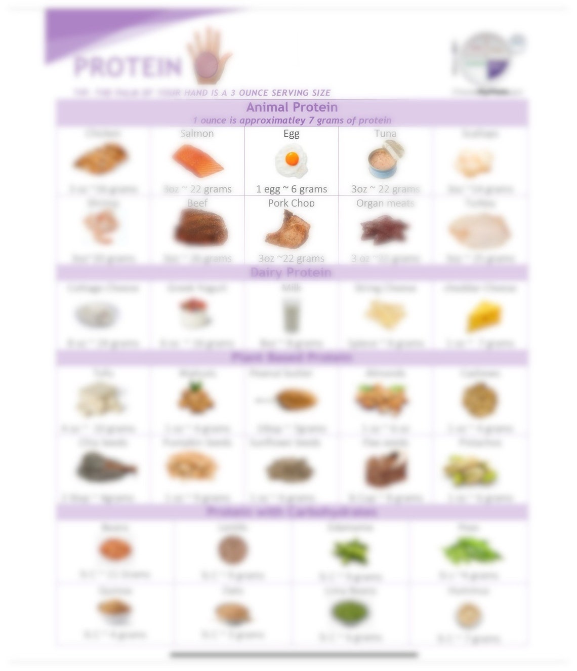 Protein Food List - English and Spanish Bundle - Etsy