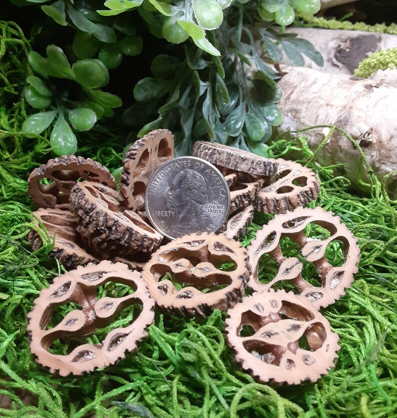 10 Miniature Black Walnut Shell Slices/buttons 1/8 Thick - Etsy