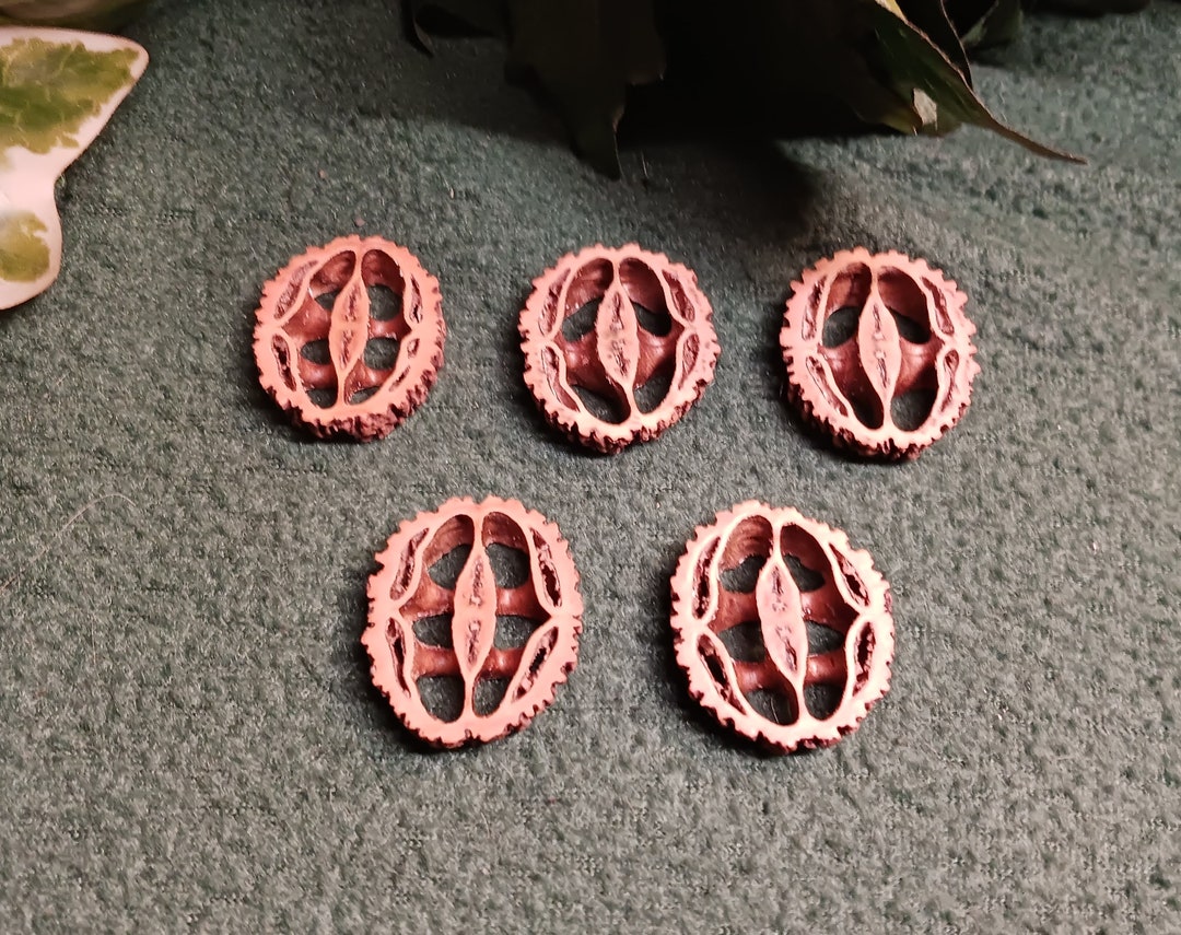 1/4" Thick Black Walnut Shell Slices - Center Cuts - Etsy