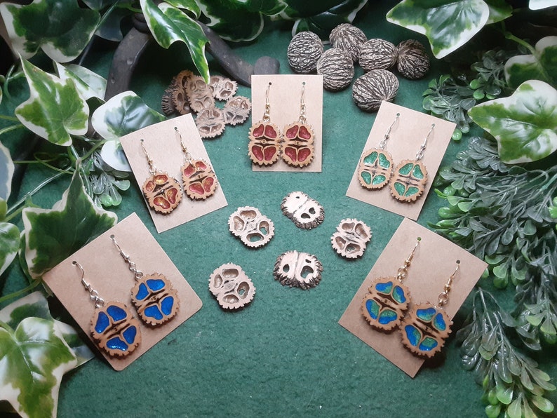 25 Black Walnut Outer Cut Shell Slices Style A - Etsy