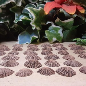 Black Walnut Shell Heels/embellishments - Assorted Sizes - Etsy