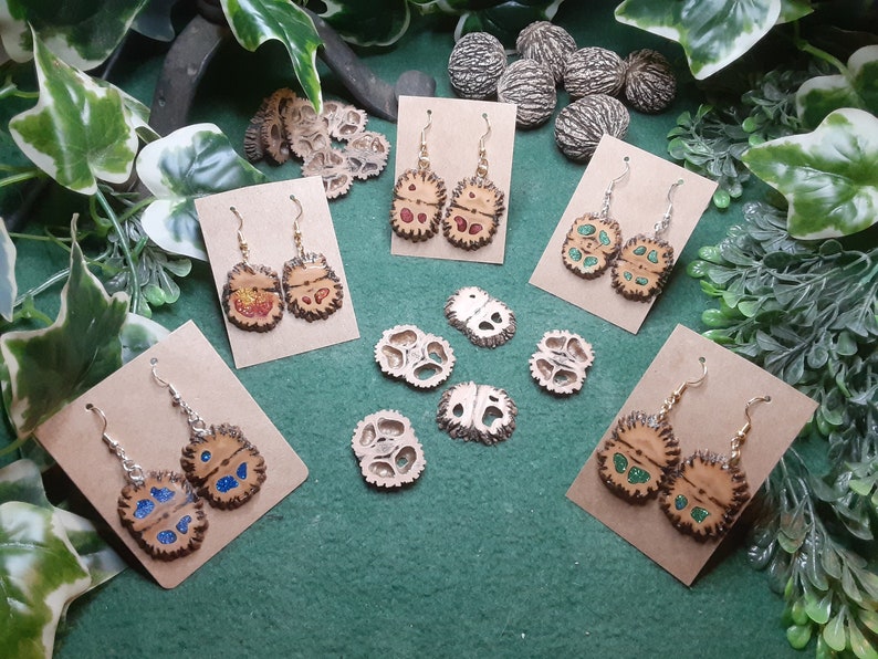 25 Black Walnut Outer Cut Shell Slices Style A - Etsy