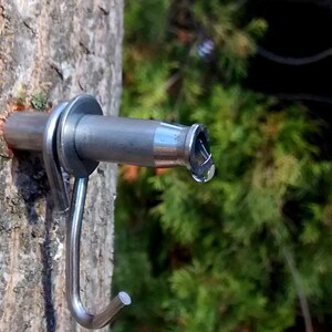 Black Walnut Syrup 100% Pure All Natural Organic Made Entirely From ...