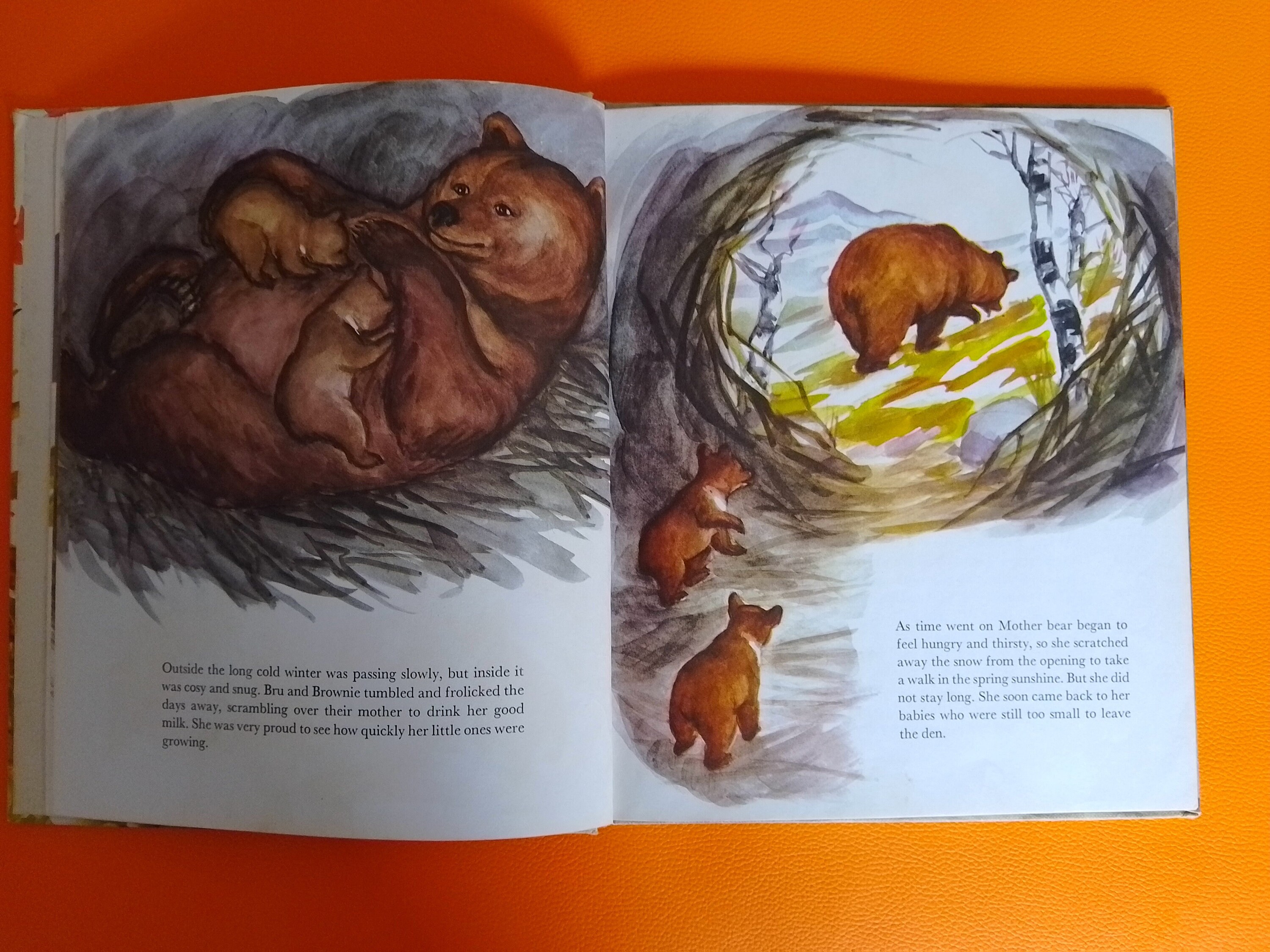 Bru the Brown Bear by Inga Borg First Edition - Etsy