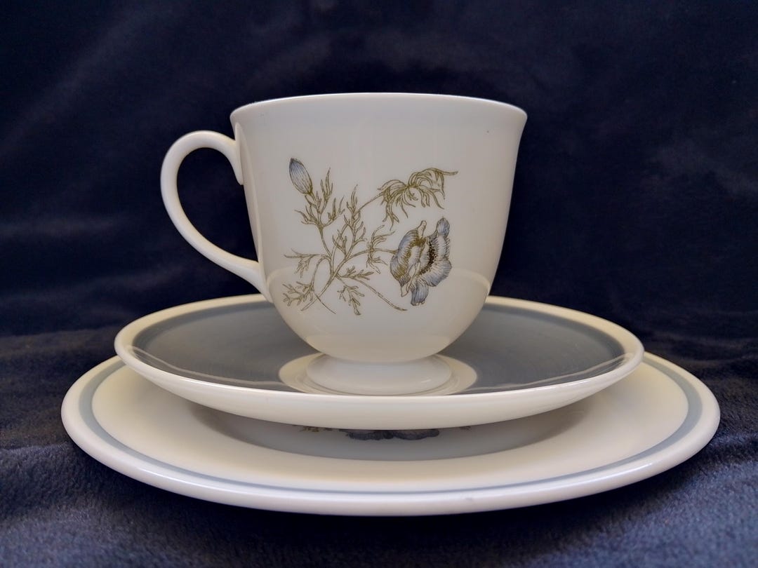 Susie Cooper "glen Mist" Bone China Trio - Etsy