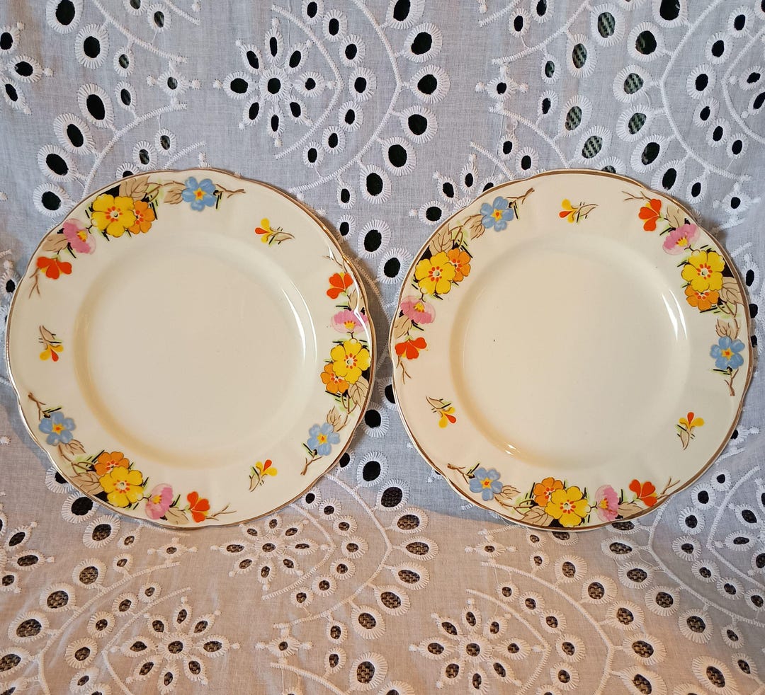 Vintage TAMS Ware Longton England Side Plates - Etsy
