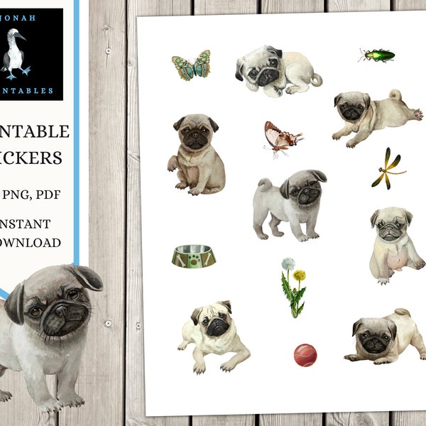 Pug Sticker Pack - Etsy