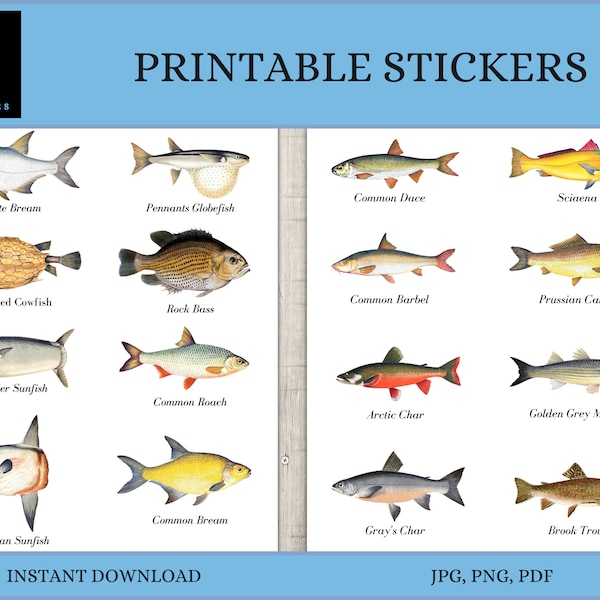 Printable Fish Stickers - Etsy