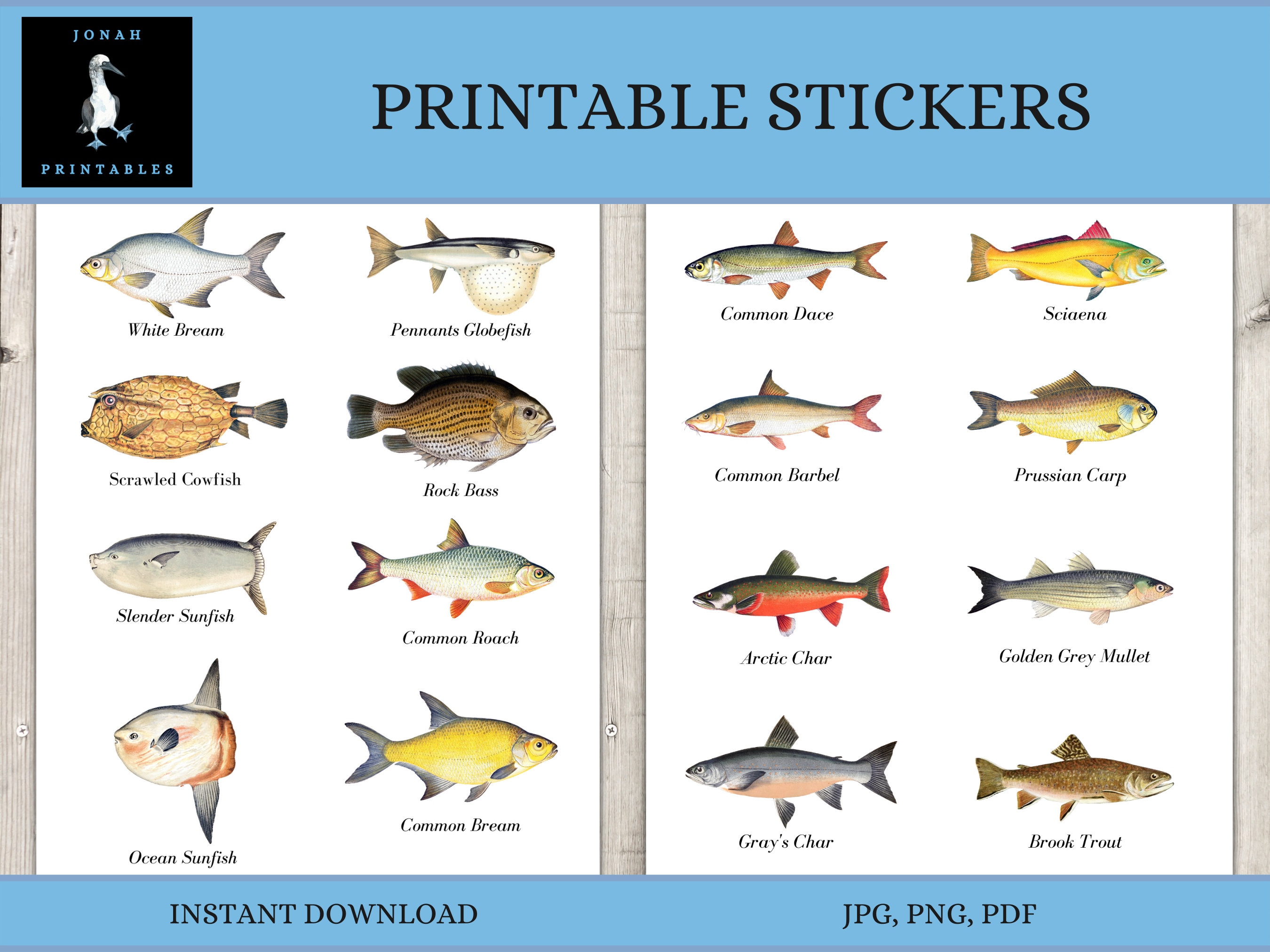 Stickers, Labels & Tags Fish Sticker Sheet Bundle Laptop Stickers Pack ...