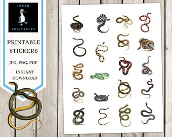 Snake Stickers - Etsy