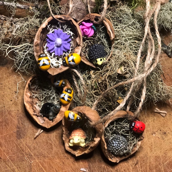 Walnut Shell Diorama - Etsy